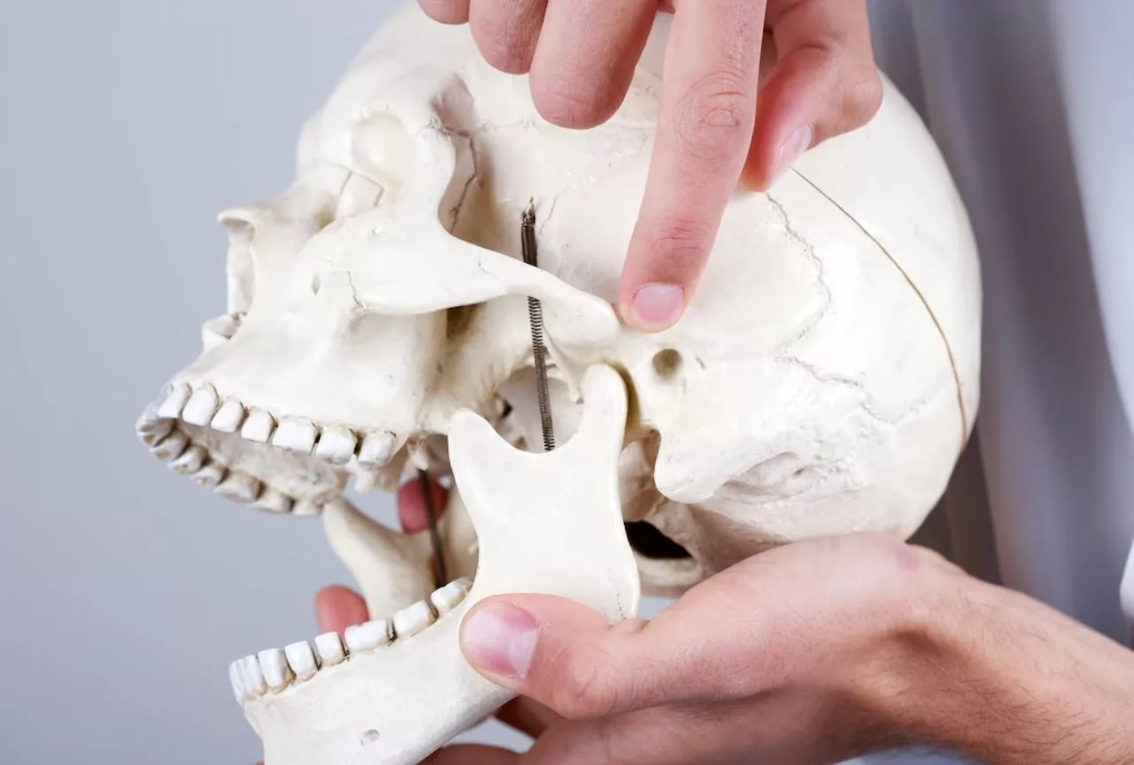 Managing Pain or Clicking of the Jaw’s Hinges | Dr. Nojan